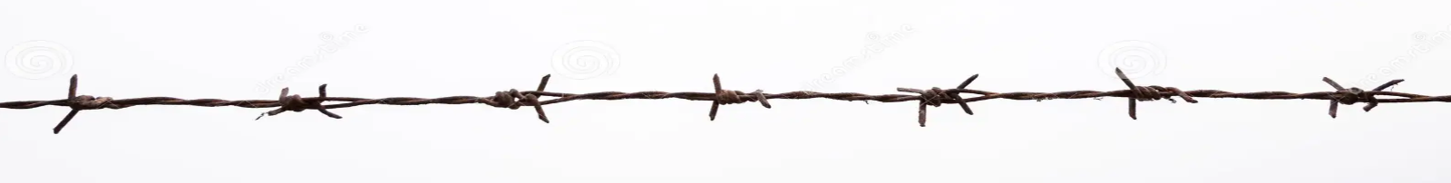 SAL Emblem & Brand Mark | American Legion Post 315 Wylie, Texas 75098